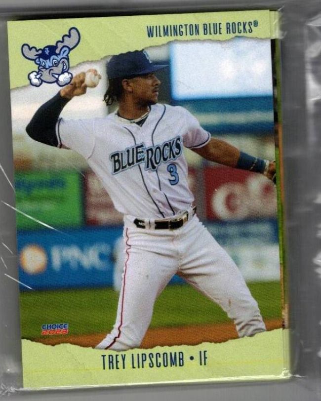 2023 WILMINGTON BLUE ROCKS 30 CARDS ARRIVED